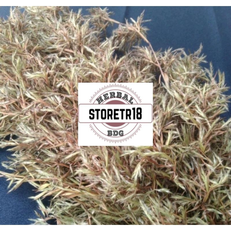 Jual Jual Bunga Sereh Merah Kembang Sereh Wangi Bunga Serai Per 15 ...