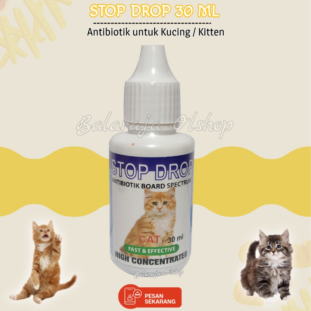 Jual Antibiotik Kucing Obat Demam Flu Batuk Diare Infeksi Pencernaan ...