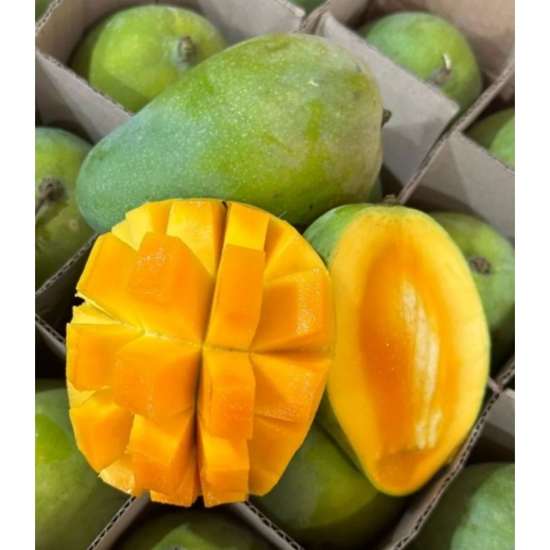 Jual Mangga harumanis arumanis super manis 1 kg premium | Shopee Indonesia