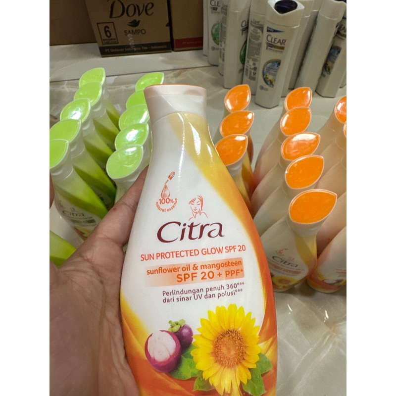 Jual citra botol body lotion bengkoang dan pearly glow uv 230ml ...