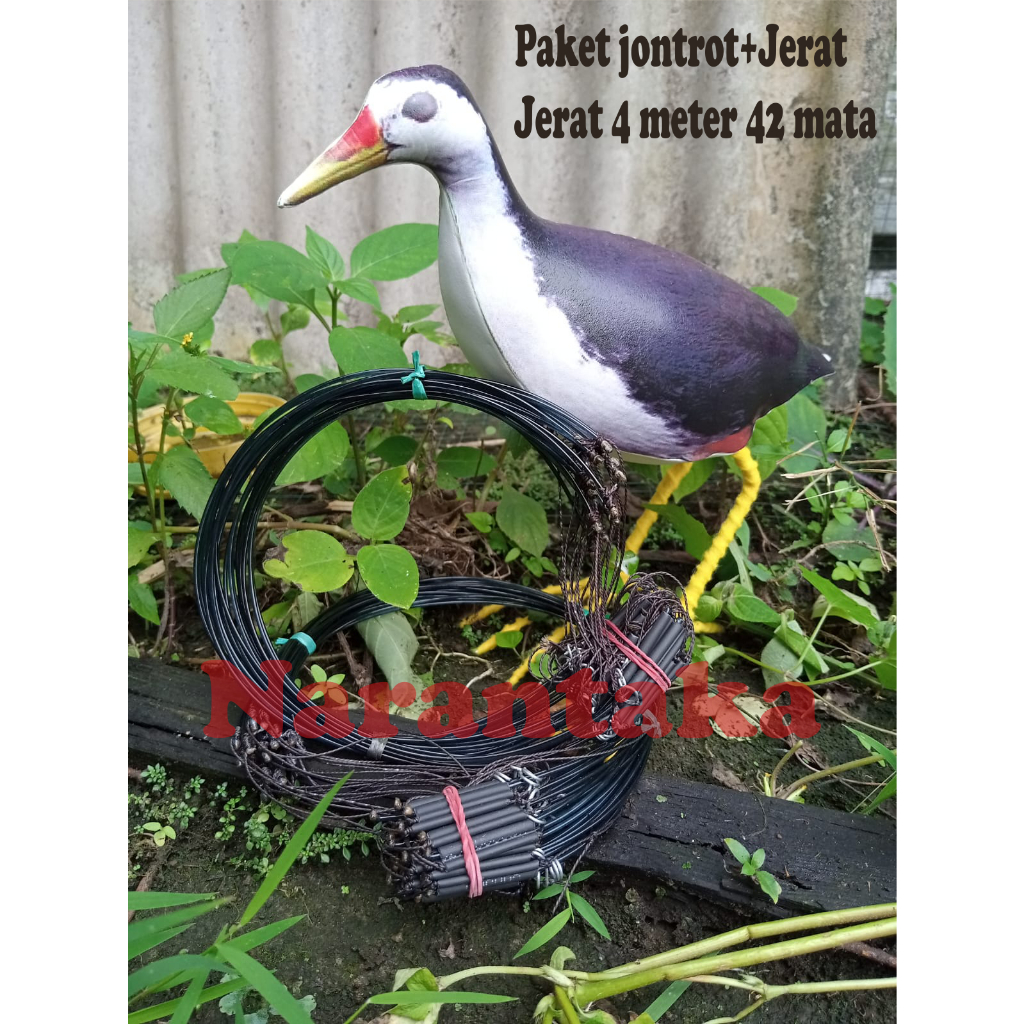 Jual Paket Jontrot ruakruak+jerat 42 mata / wakwak/jerat 4 meter 42 ...