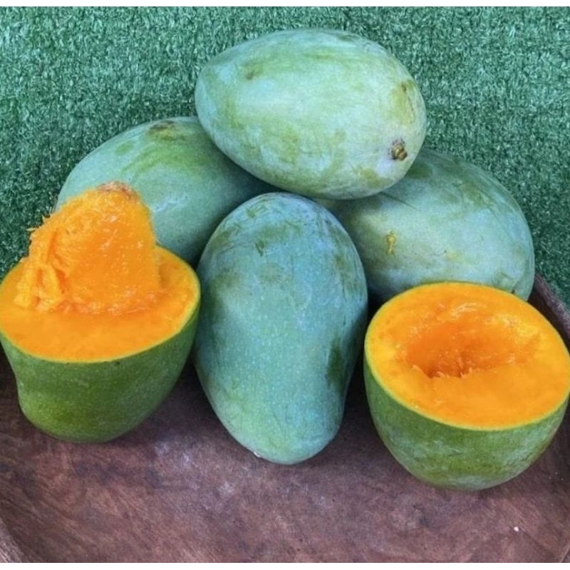 Jual Mangga Alpukat Klonal 1 Kg Super Manis | Shopee Indonesia