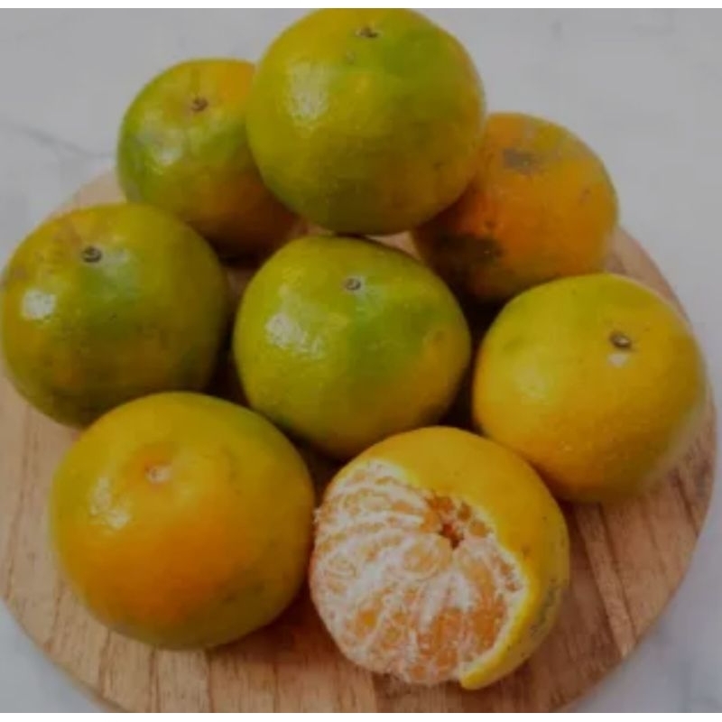 Jual Jeruk Medan Premium 1 Kg Super Manis | Shopee Indonesia
