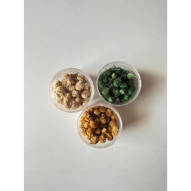 Jual Semak-semak atau Bunga (putih, kuning, hijau, ungu kemerahan ...