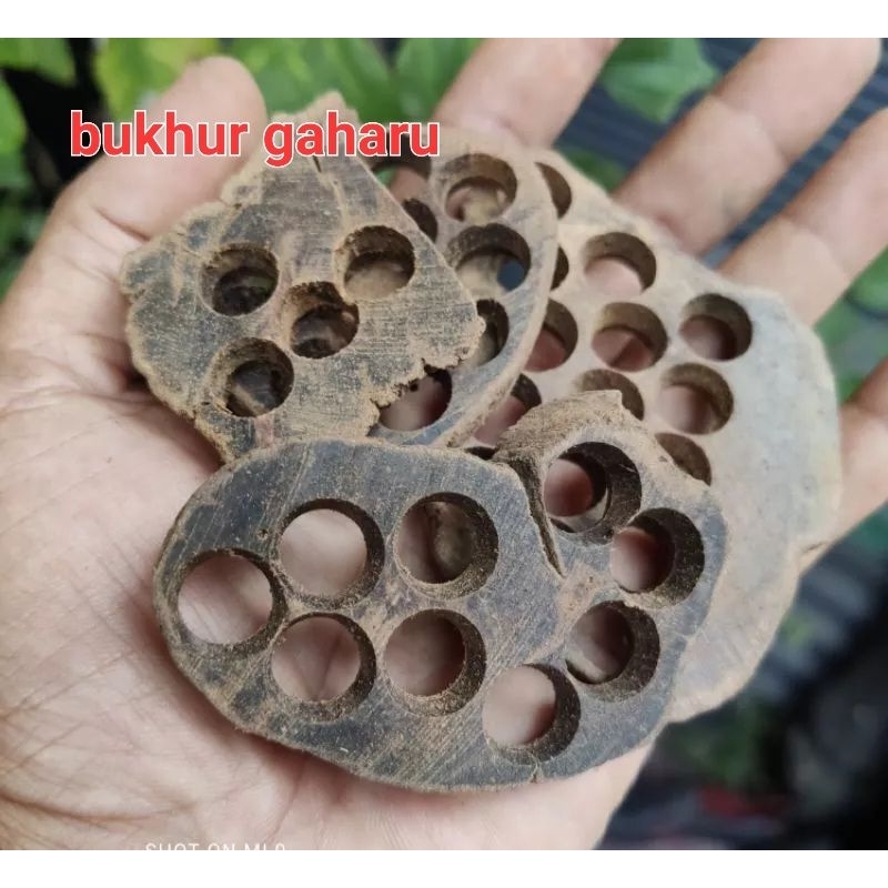 Jual limbah gaharu 1 kg kayu gaharu wangi bukhur gaharu asli atau dupa ...