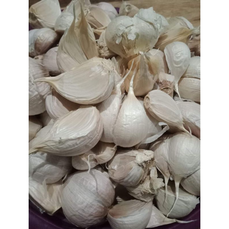 Jual Bawang Kating 1kg | Shopee Indonesia
