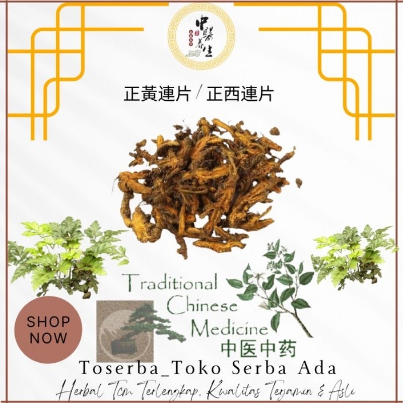 Jual 600gr Herbal Huang Lian 正黃連 Coptis Root Golden Thread Coptis ...