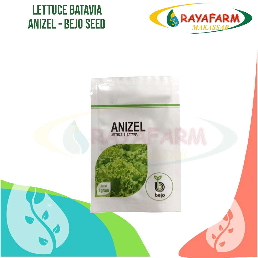 Jual BENIH SELADA ANIZEL BEJO SEED 1gr | Shopee Indonesia