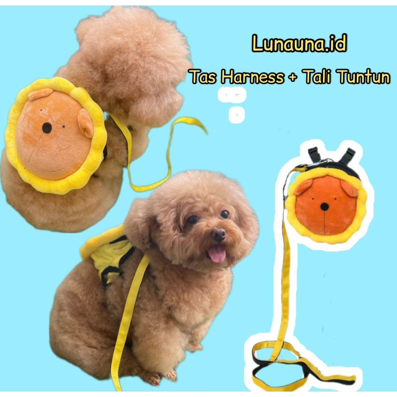 Jual Tas Harness Anjing Kucing 2in1 ( Bag + Leash ) / Backpack Tali ...