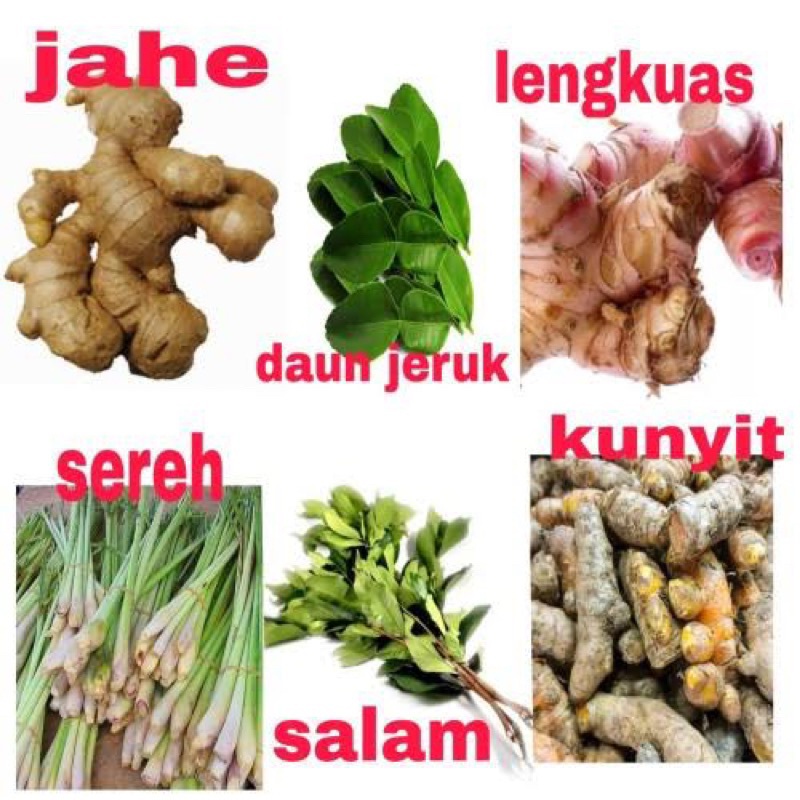 Jual Bumbu Dapur Lengkap 1 kg | Shopee Indonesia