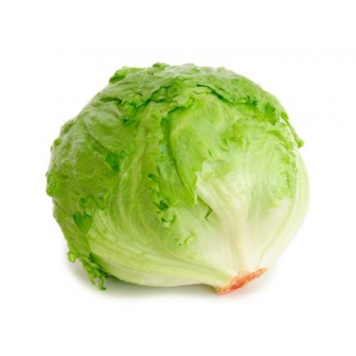 Jual LETUCE Sayuran letus 1 Pcs | Lettuce sayur kebab salad Lotus ...