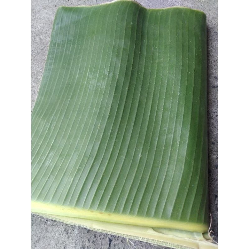 Jual Daun Pisang Segar 1 Kilo Rp10000 Shopee Indonesia