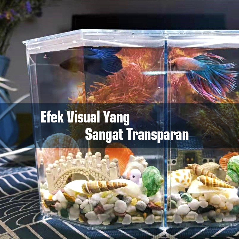Jual Aquarium Mini Fish Tank Tangki Sekat Kotak Dual Betta Fish tank 2 ...