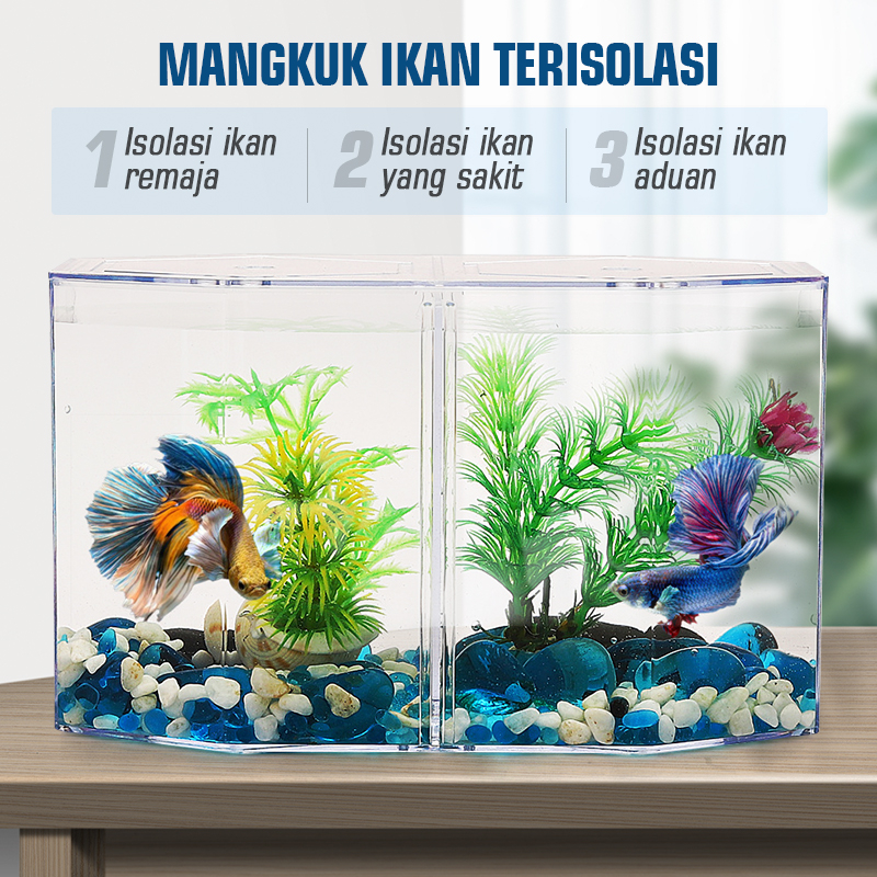 Jual Aquarium Mini Fish Tank Tangki Sekat Kotak Dual Betta Fish tank 2 ...