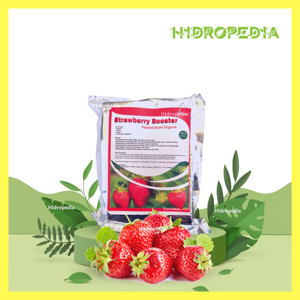 Jual Pupuk Organik Pelebat Buah Strawberry Organik Booster Berkualitas Hidropedia | Shopee Indonesia