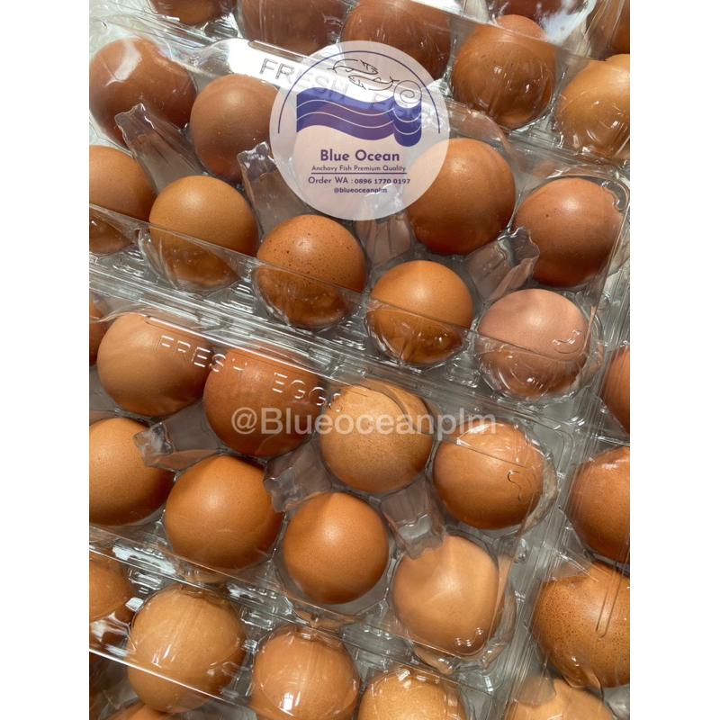 Jual Telur Omega 3 | Shopee Indonesia