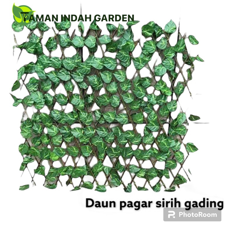 Jual Rumput Daun Pagar bisa dilebarkan sesuai dengan ukuran pagar ...