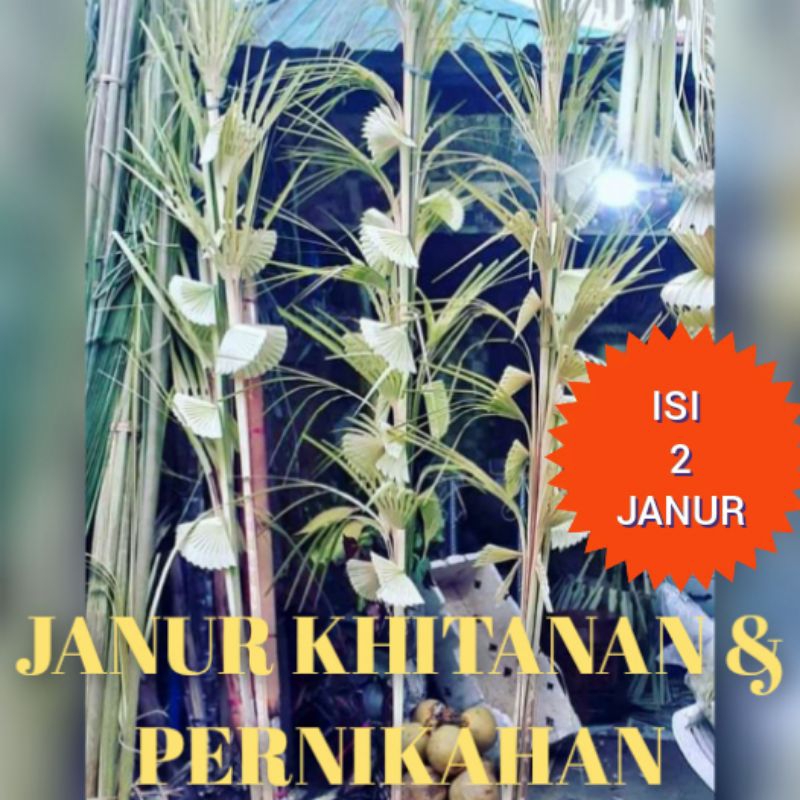 Jual janur kuning khitanan pernikahan kecil / penanda jalan hajatan isi ...
