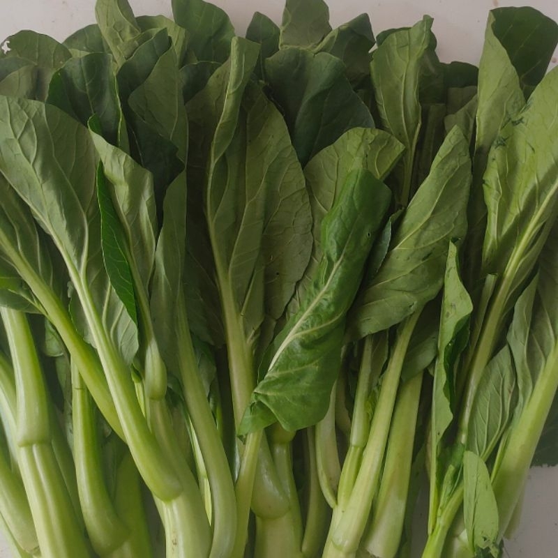 Jual sawi manis/caisim manis 500gram | Shopee Indonesia