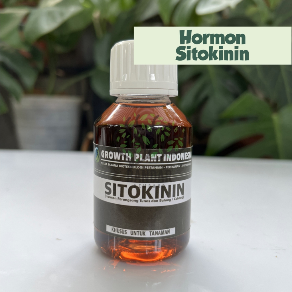 Jual Hormon Sitokinin Hormon Pemercepat Pertumbuhan Daun Hormon ...