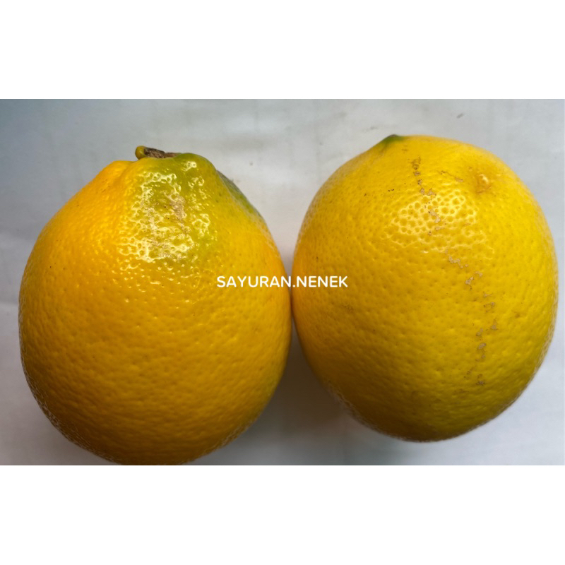 Jual Lemon Lokal 500g,1kg | Shopee Indonesia