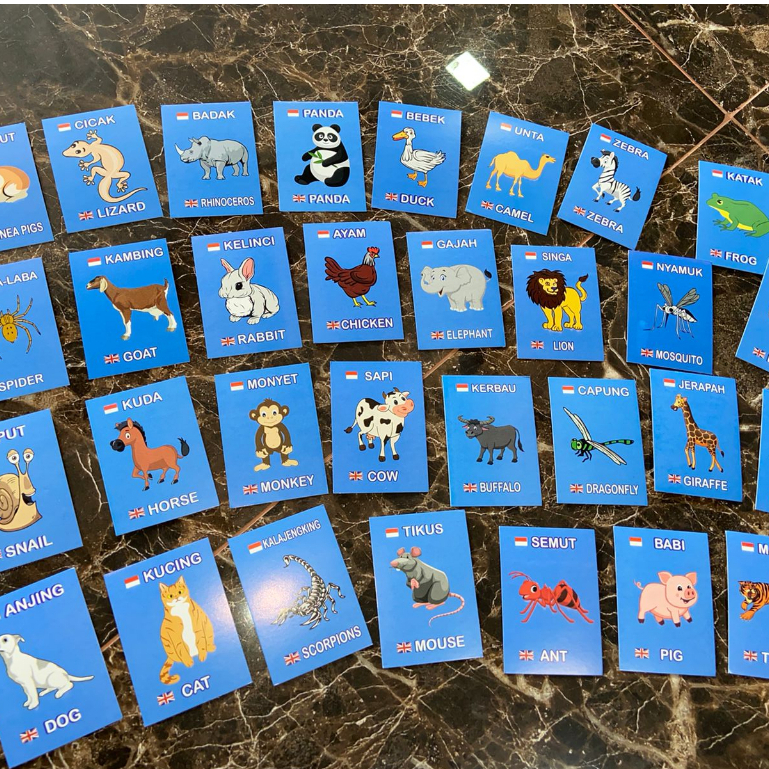 Jual Flash Card Kartu Pintar Mainan Edukasi Anak // Kartu Buah-Buah ... Jual Flash Card Kartu Pintar Mainan Edukasi Anak // Kartu Buah-Buah ...