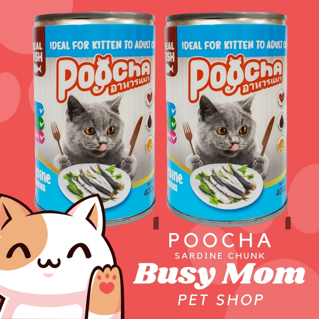 Jual Poocha Cat Food Kaleng Mother & Baby Cat Kitten Adult Pocha Wet ...