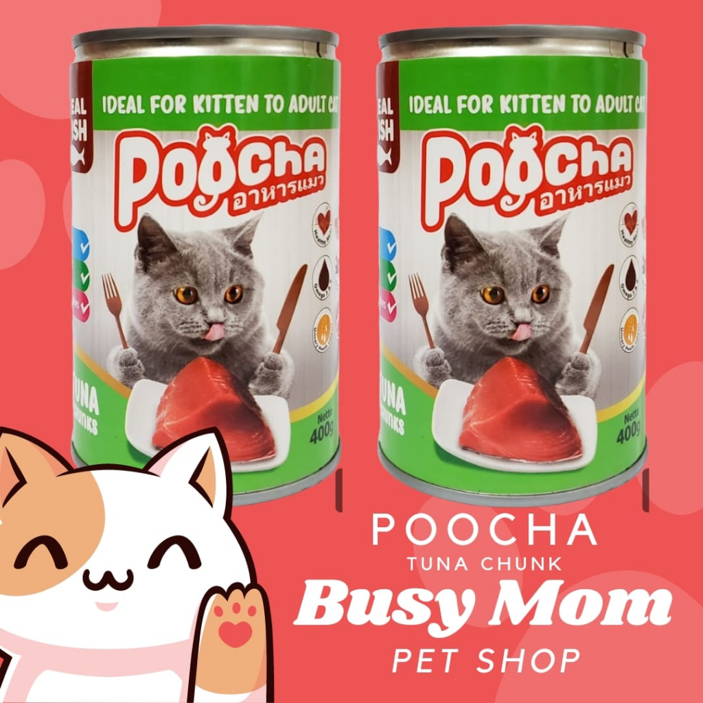 Jual Poocha Cat Food Kaleng Mother & Baby Cat Kitten Adult Pocha Wet ...