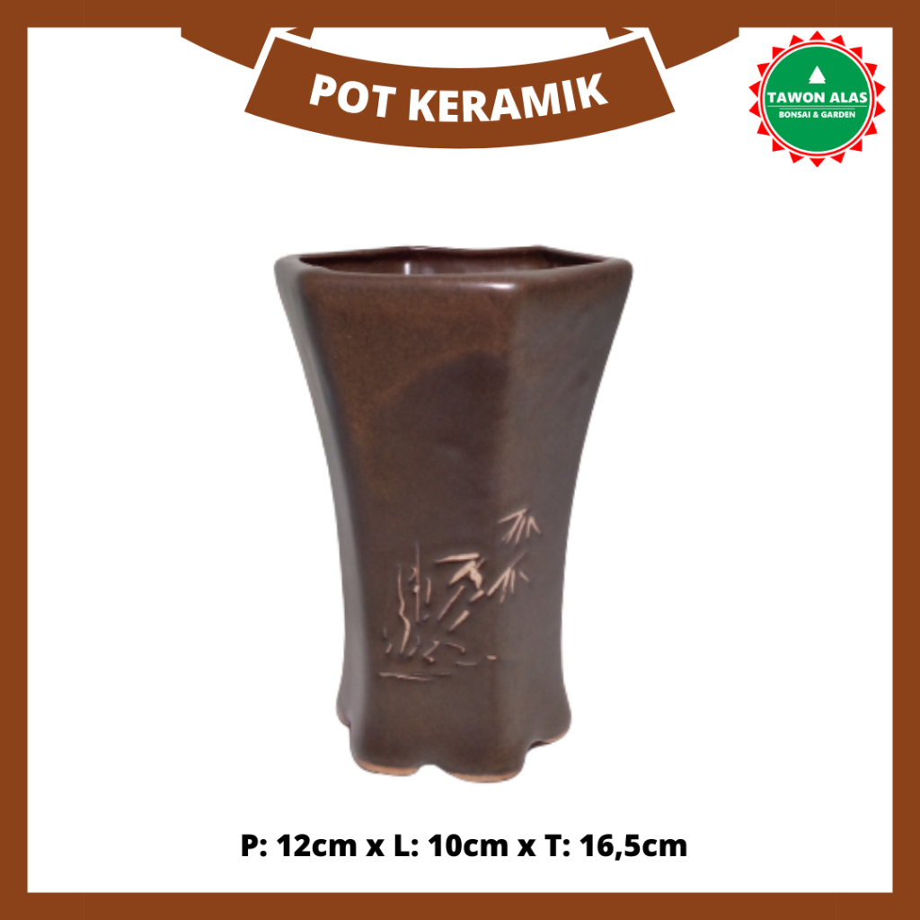 Jual Pot Bonsai Keramik Segi Enam Tinggi Unik | Shopee Indonesia