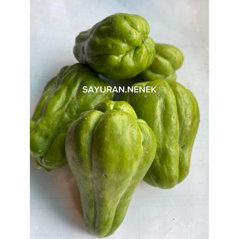 Jual Labu Acar Kecil | Shopee Indonesia