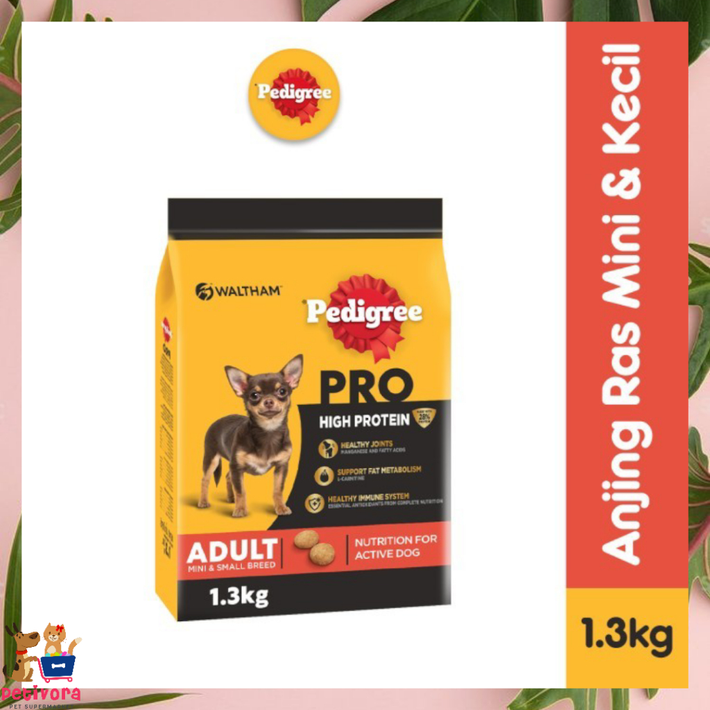 Jual Pedigree High Protein Makanan Anjing Kering Ras Mini dan Kecil 1.3 ...