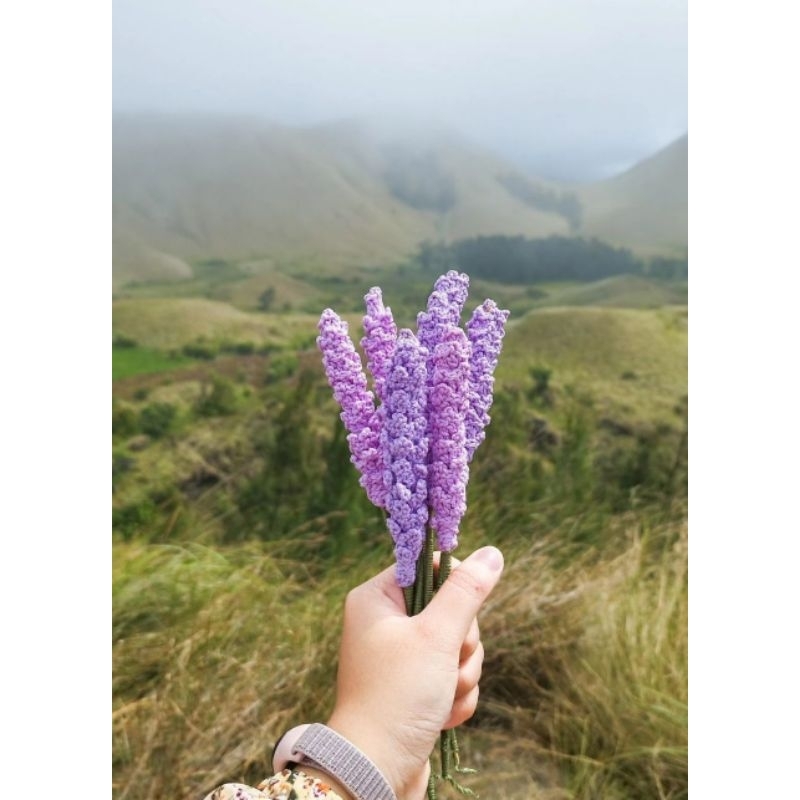 Jual Bunga Lavender Rajut Lavender Crochet Amigurumi (pertangkai+daun ...