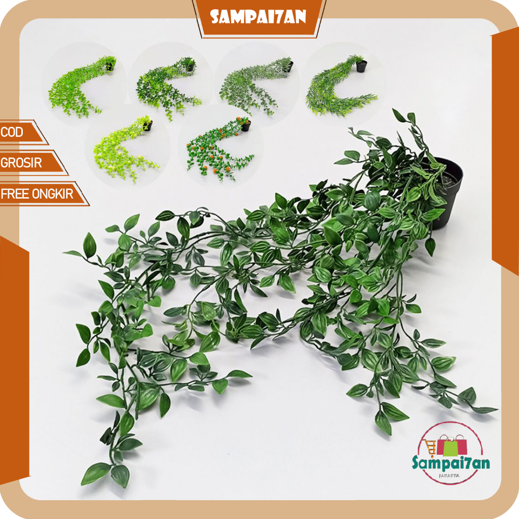 Jual Pot Tanaman Hias Gantung Bunga Daun Hoya Costa Hanging Leaf ...