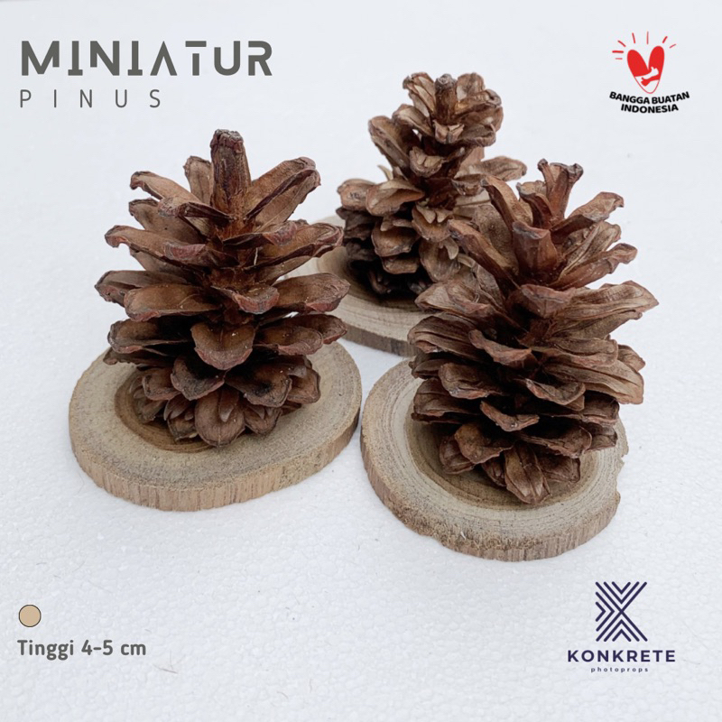 Jual Miniatur Pohon Dekorasi Kembang Pinus - Tree Diorama - Aksesoris ...
