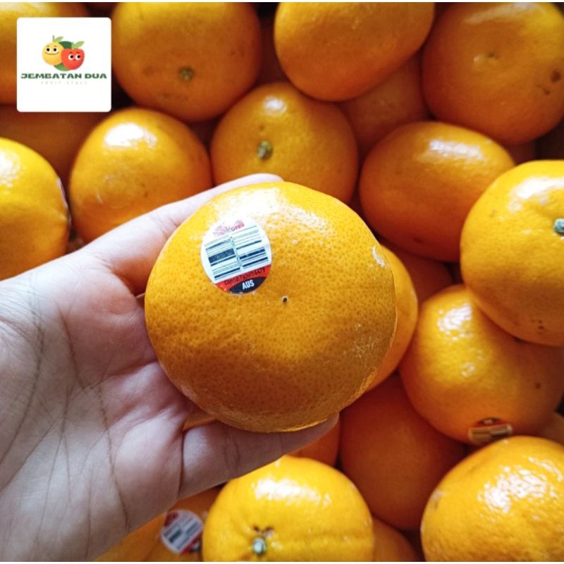 Jual Jeruk Mandarin Honey Murcot 1kg | Shopee Indonesia