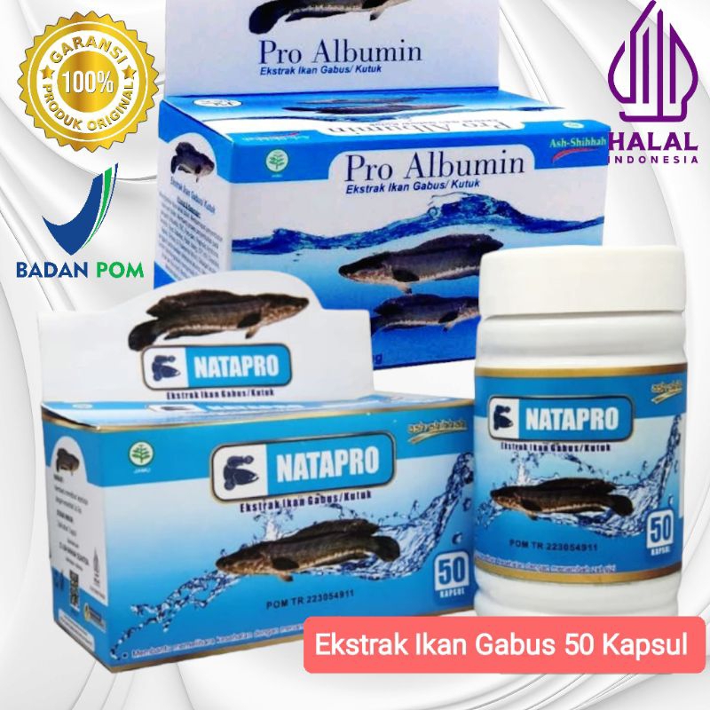 Jual Pro Albumin dan Natapro Albumin BPOM Ash Shihhah Kapsul Ekstrak Ikan Gabus Kutuk | Shopee ...
