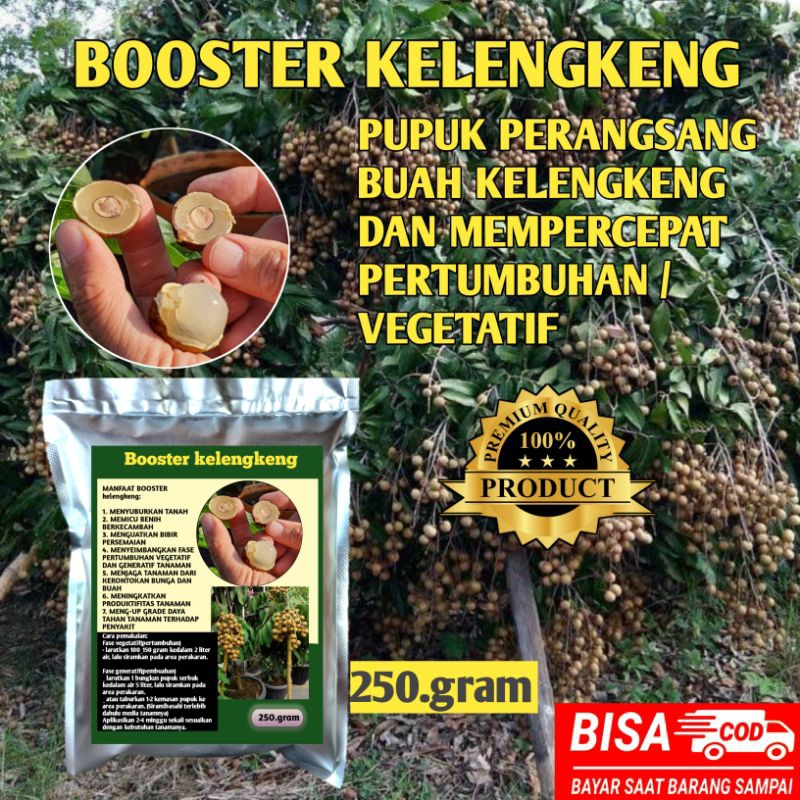 Jual Pupuk booster organik Kelengkeng pelebat buah dan mempercepat pertumbuhan Termurah bisa Cod ...