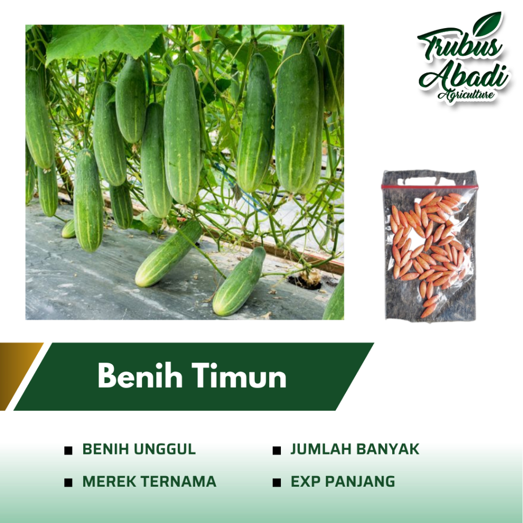 Jual Benih Bibit Timun Mentimun Kemasan Repack - Benih Sayuran | Shopee ...