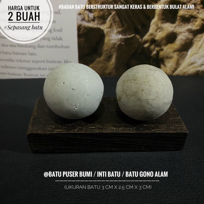 Jual Batu Puser Bumi G2 atau Fosil Buah Nyamplung atau Batu Gono Alam ...