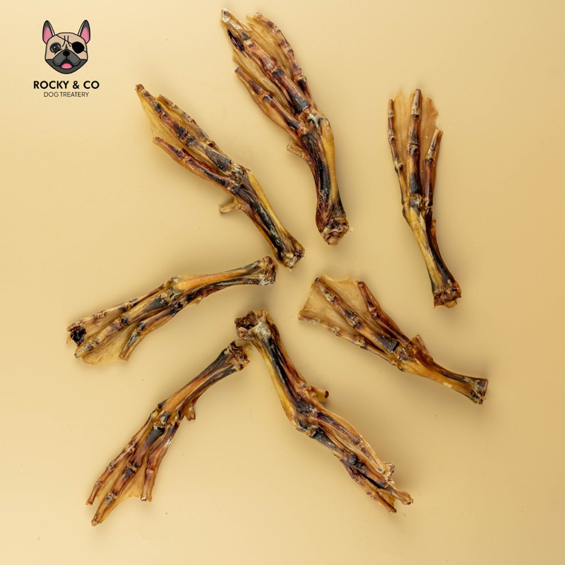 Jual Rocky n Co| Duck Feet/Claw Jerky Air Dried Dehydrated Dog Treats ...
