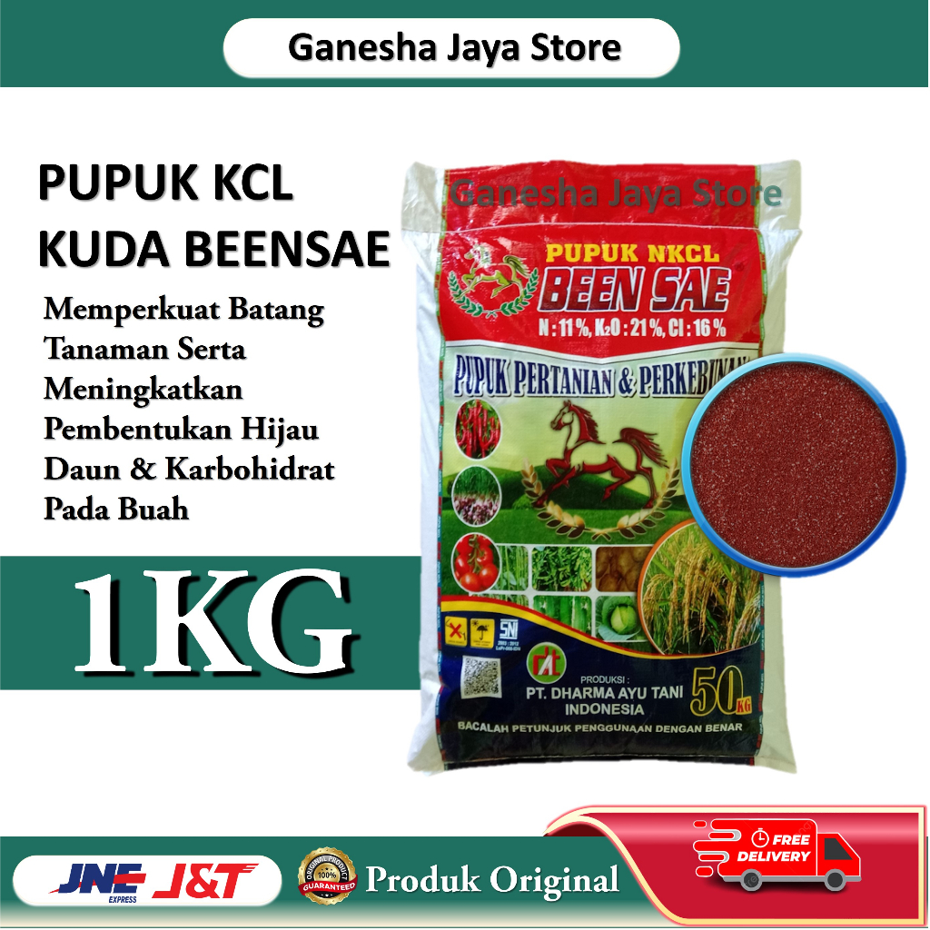 Jual PUPUK KCL KUDA BEEN SAE REPACK 1KG PUPUK BUAH DAN BUNGA PUPUK ...