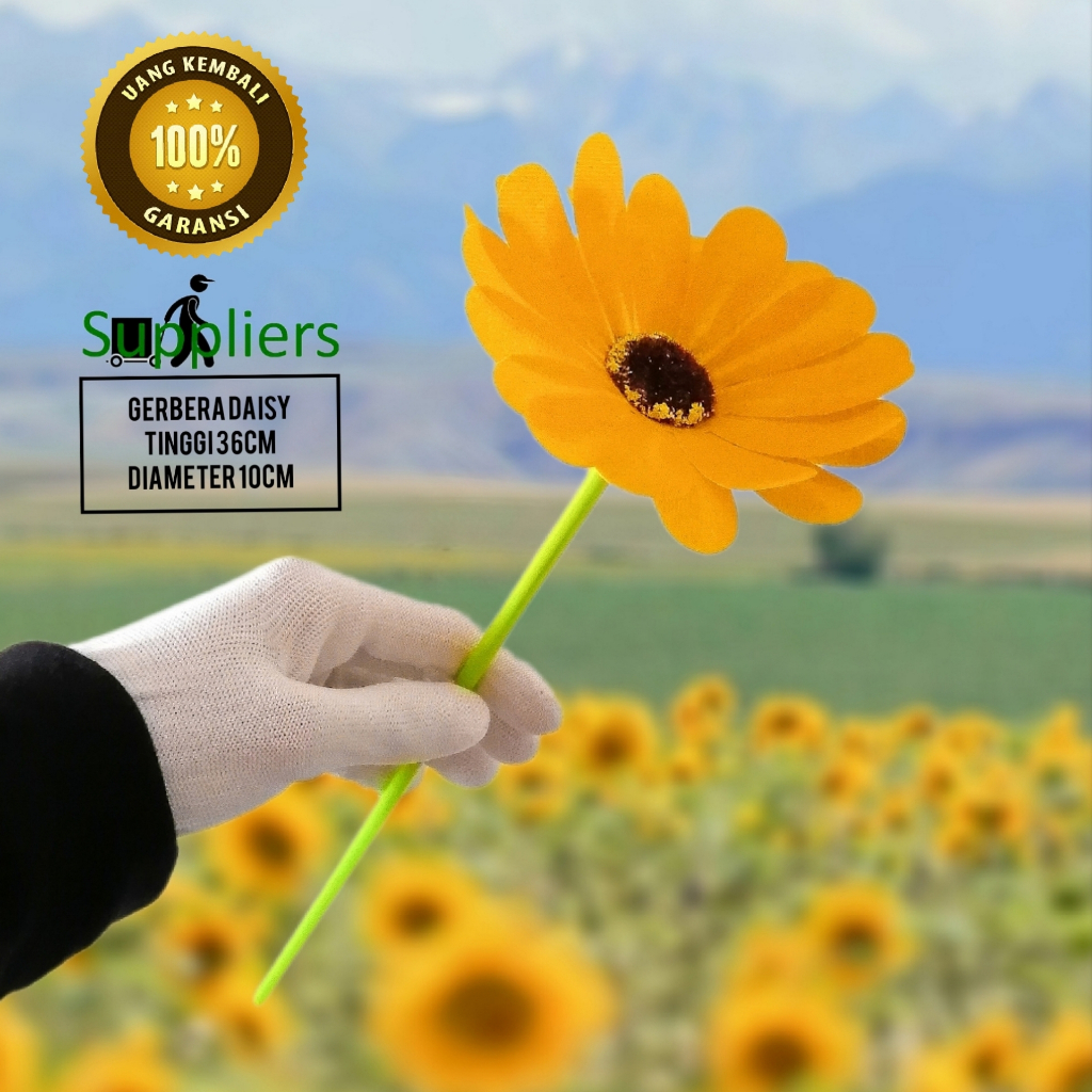 Jual Revalaroses Flower Bouquet singgle flower bunga gerbera daisy ...