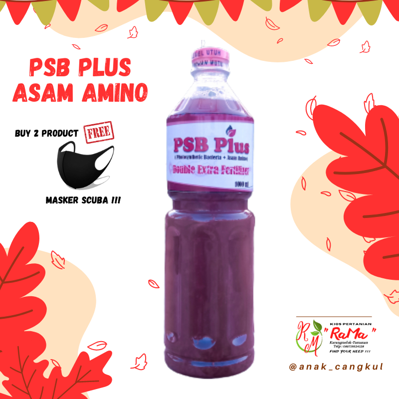Jual Biang F1 PSB plus ASAM AMINO | Shopee Indonesia