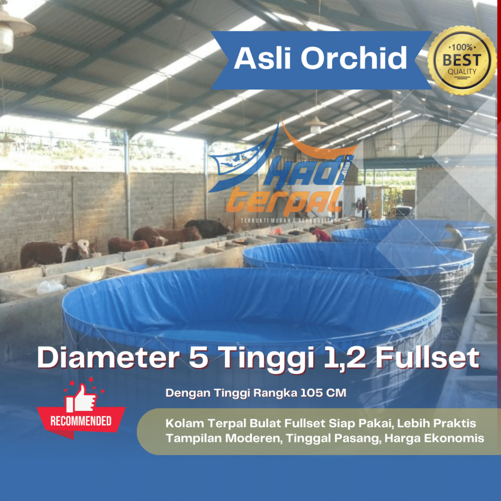 Jual Kolam Terpal Bulat Fullset diameter 5 tinggi 1,2 orchid kolam siap ... Jual Kolam Terpal Bulat Fullset diameter 5 tinggi 1,2 orchid kolam siap ...