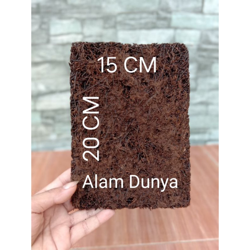 Jual Papan pakis ukuran 20x15 cm | Shopee Indonesia