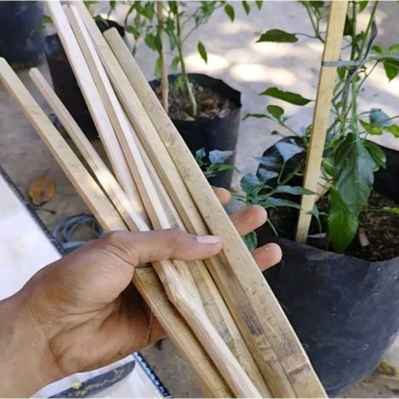 Jual Ajir Bilah Bambu Tanaman Serbaguna | Shopee Indonesia