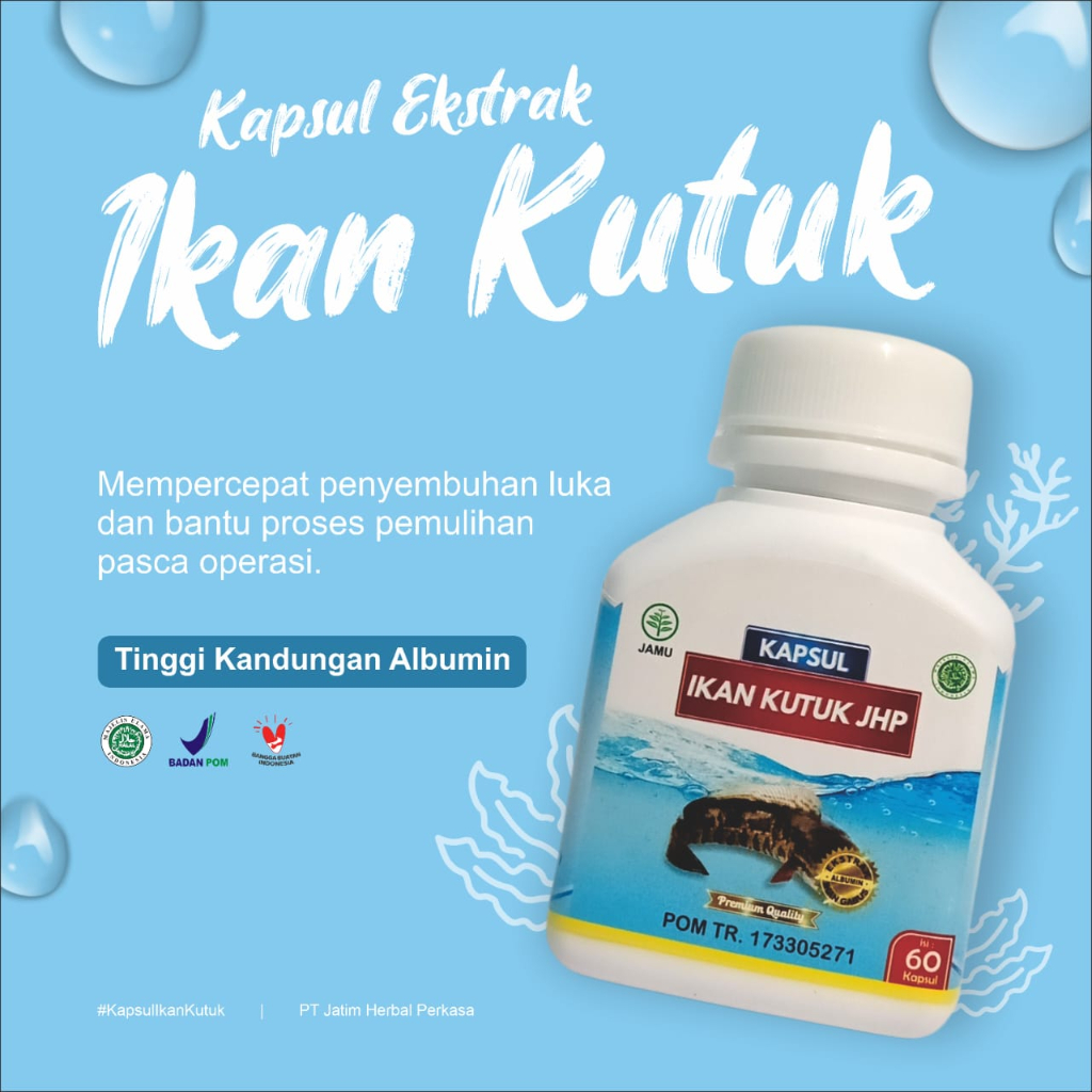 Jual kapsul ikan kutuk premium extrak kutuk gabus | Shopee Indonesia