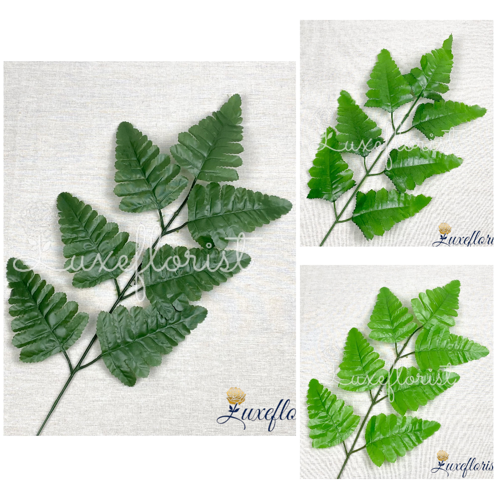 Jual DAUN CABANG PAKIS- DAUN DAUNAN PALEM UNTUK HIASAN PERNIKAHAN MURAH ...