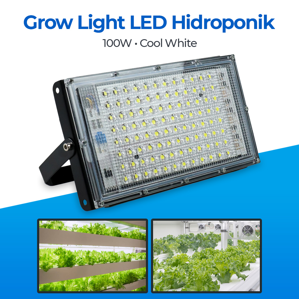 Jual Lampu LED Floodlight Hidroponik 100W Cool White 2 PCS PR65 Black ...