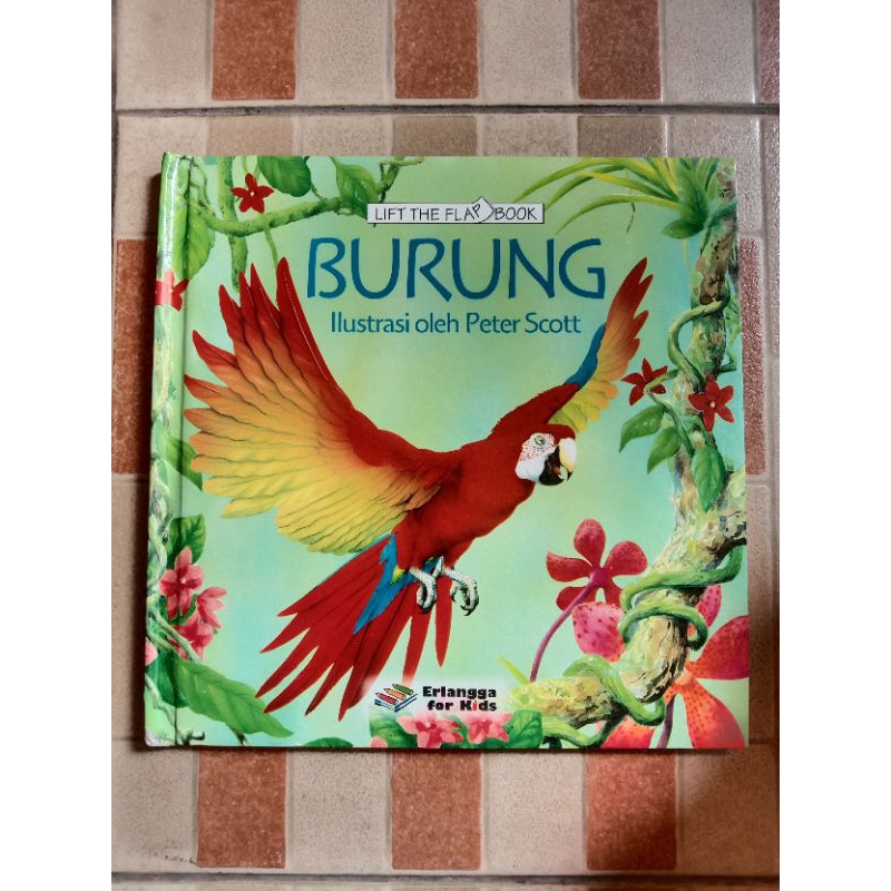 Jual BURUNG (LIFT THE FLAP BOOK) | Shopee Indonesia